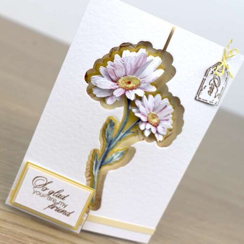 Carnation Crafts Daisy Die Set - Carnation Crafts