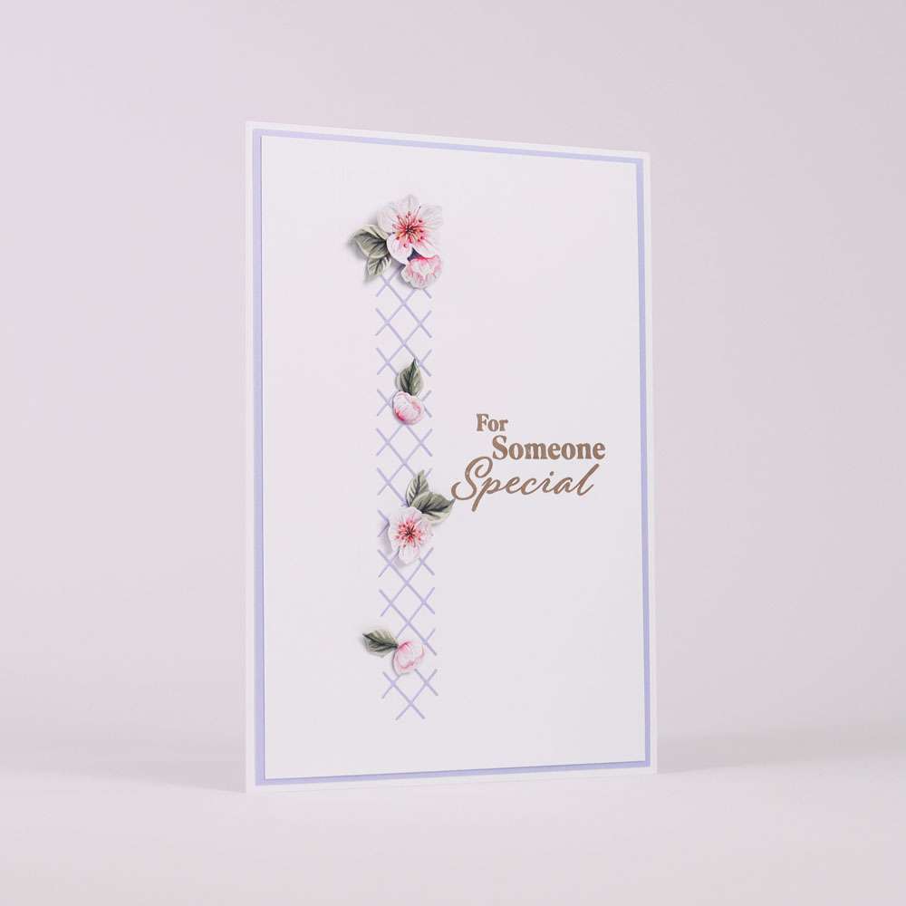 Carnation Crafts Lovely Lattice Die Set - Carnation Crafts